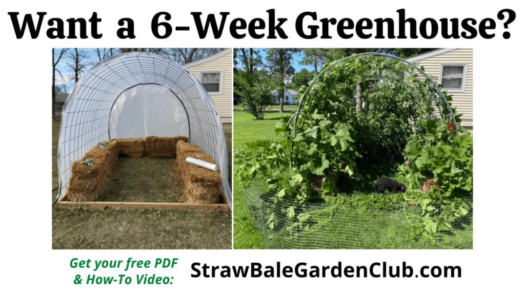 One KEY to a successful Straw Bale Garden set up is the wire trellis ...