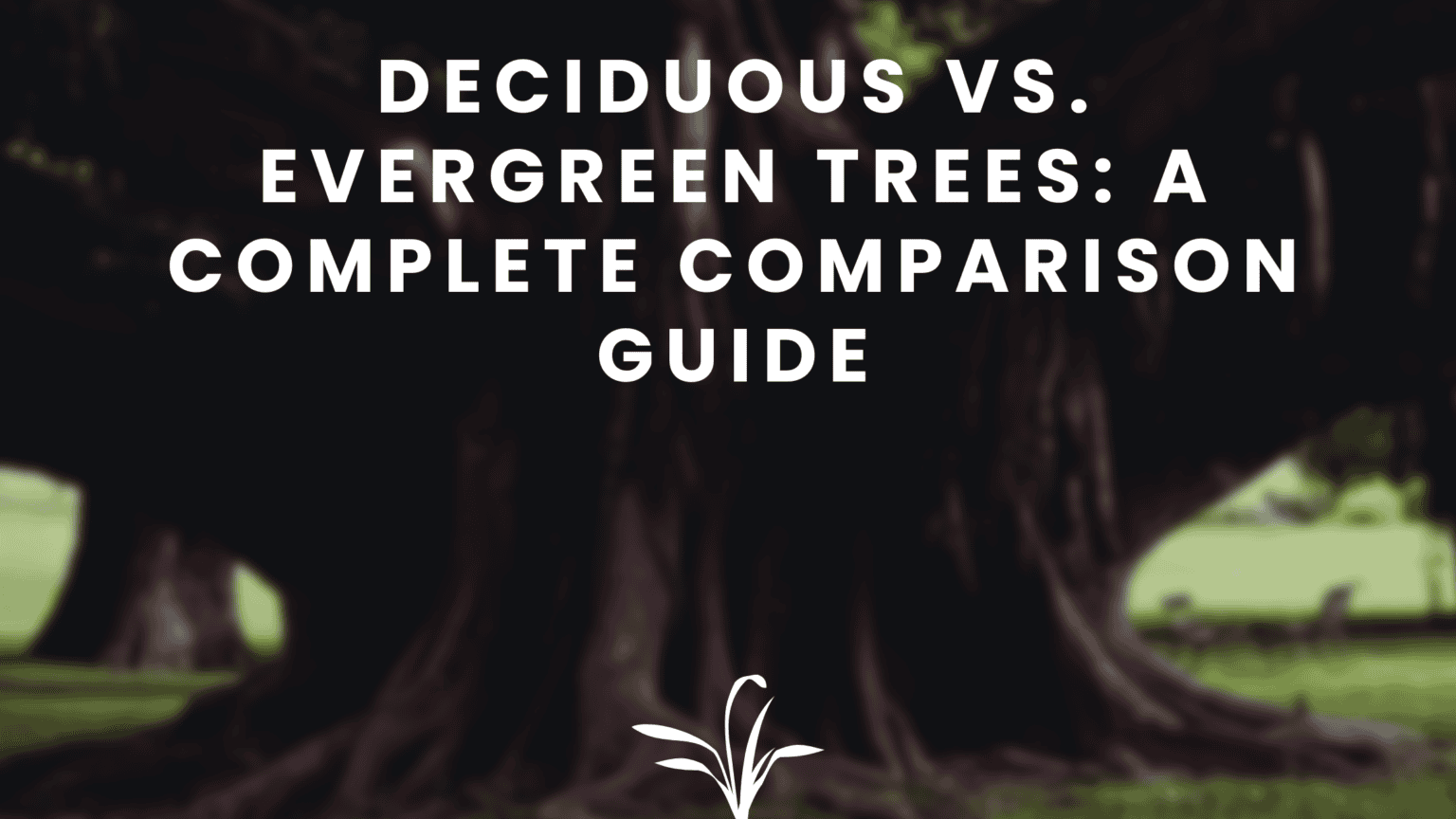 Deciduous Vs. Evergreen Trees: A Complete Comparison Guide / Straw Bale ...